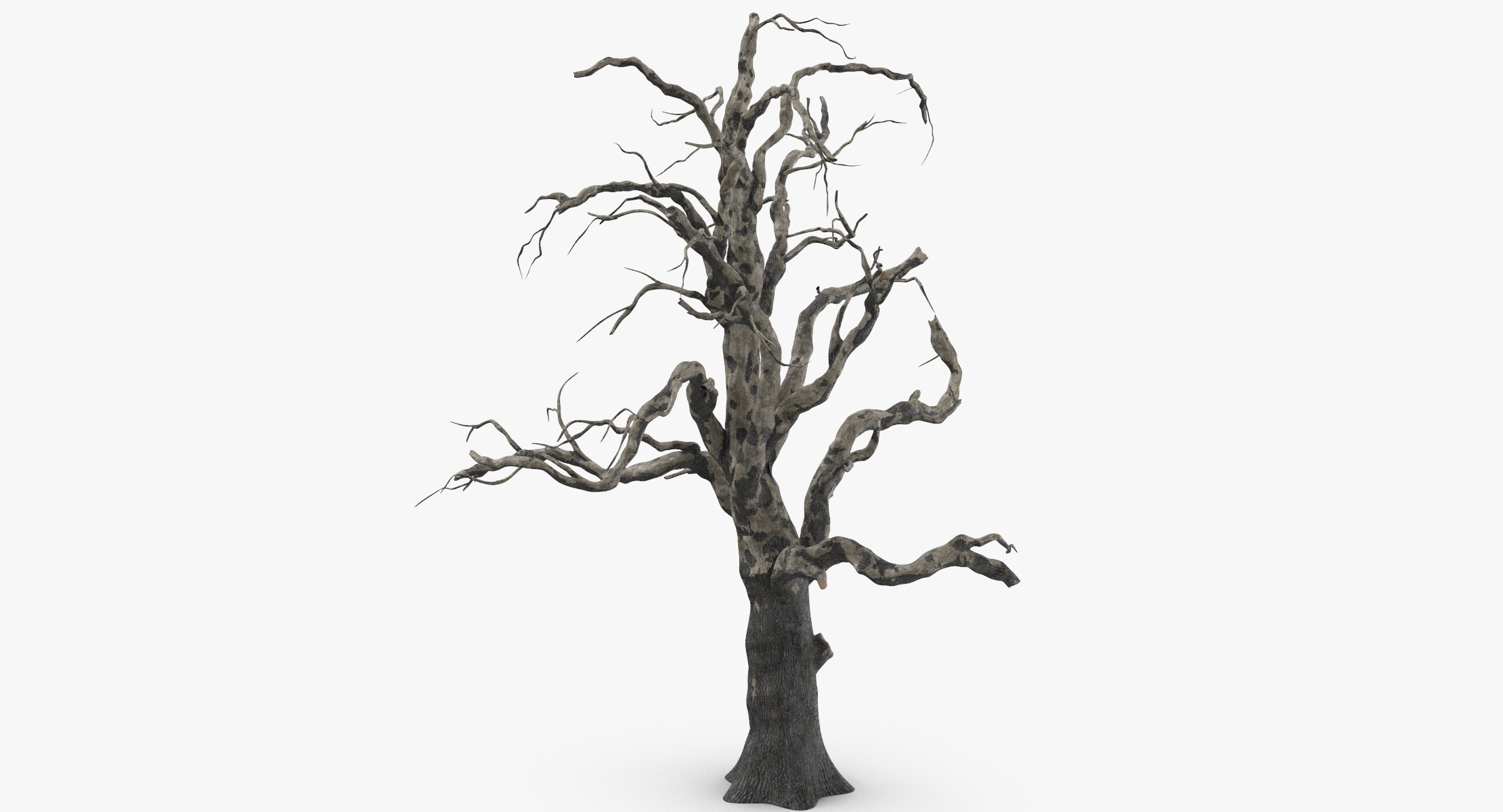 3 old dead trees c4d
