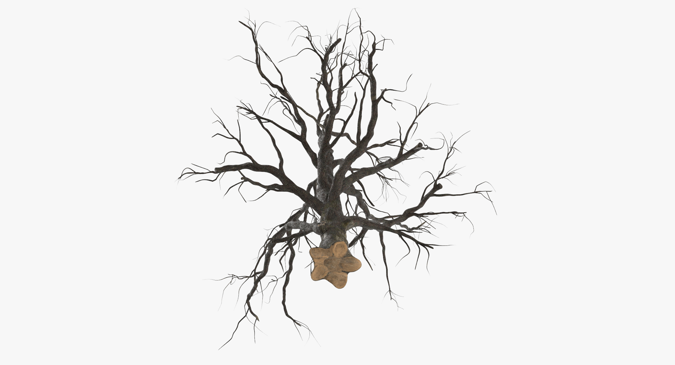 3 old dead trees c4d