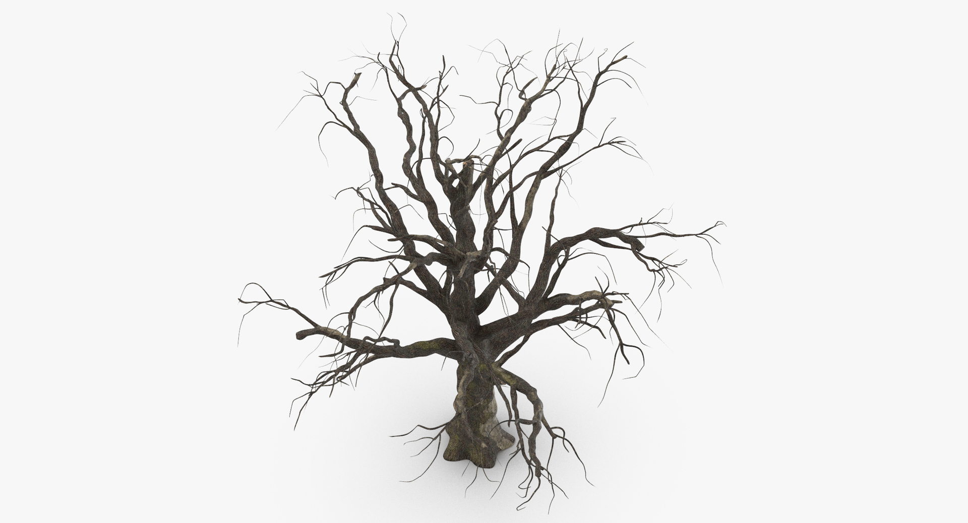 3 old dead trees c4d