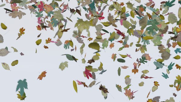 3D Leaves Collection - TurboSquid 1812290