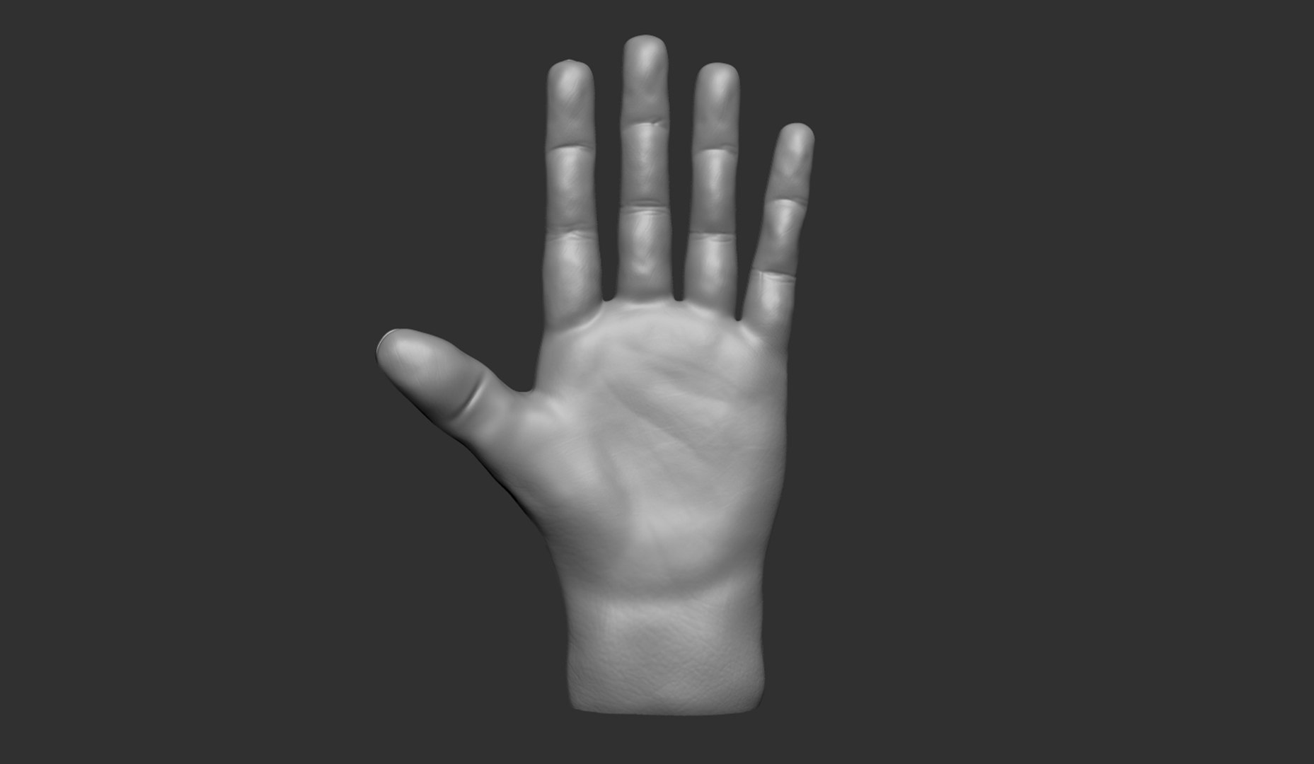 3D Model Realistic Hand Model - TurboSquid 1732140
