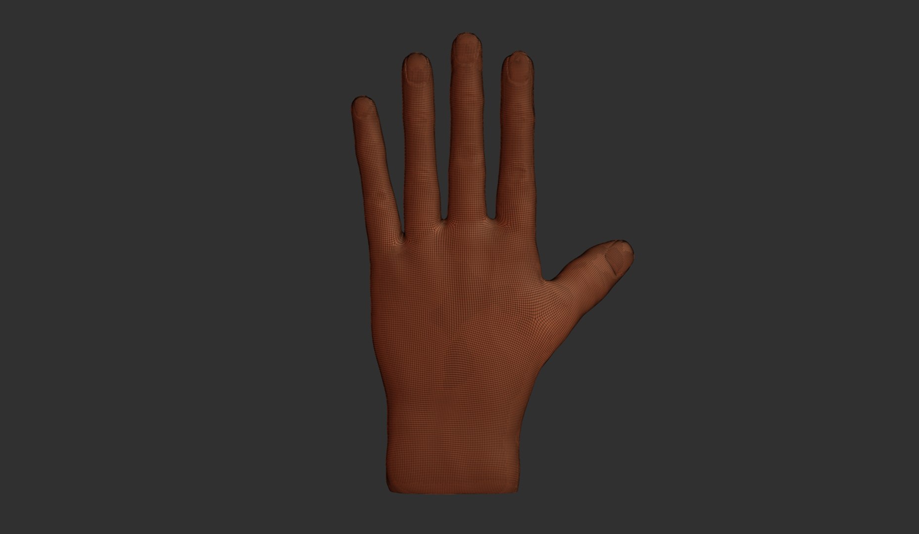 3D Model Realistic Hand Model - TurboSquid 1732140