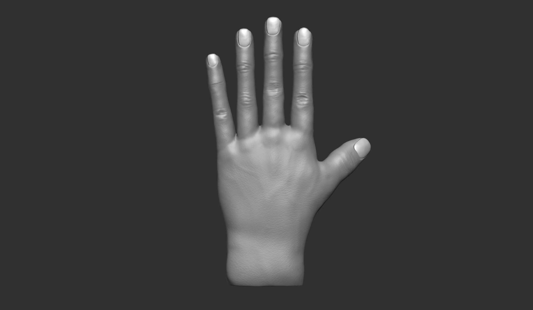 3D Model Realistic Hand Model - TurboSquid 1732140