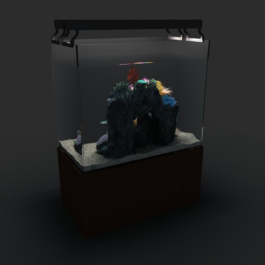 Marine Aquarium 01 3d Model