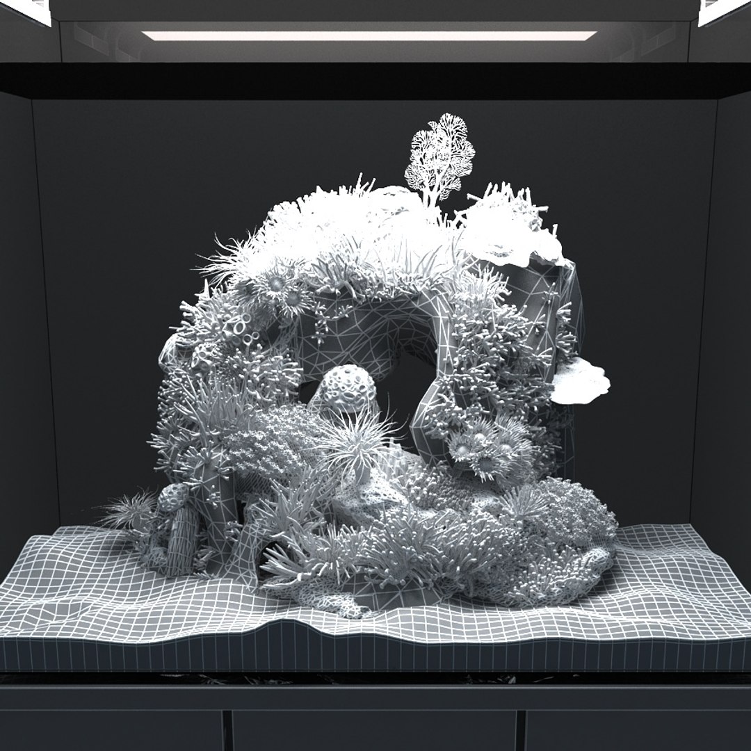 Marine Aquarium 01 3d Model