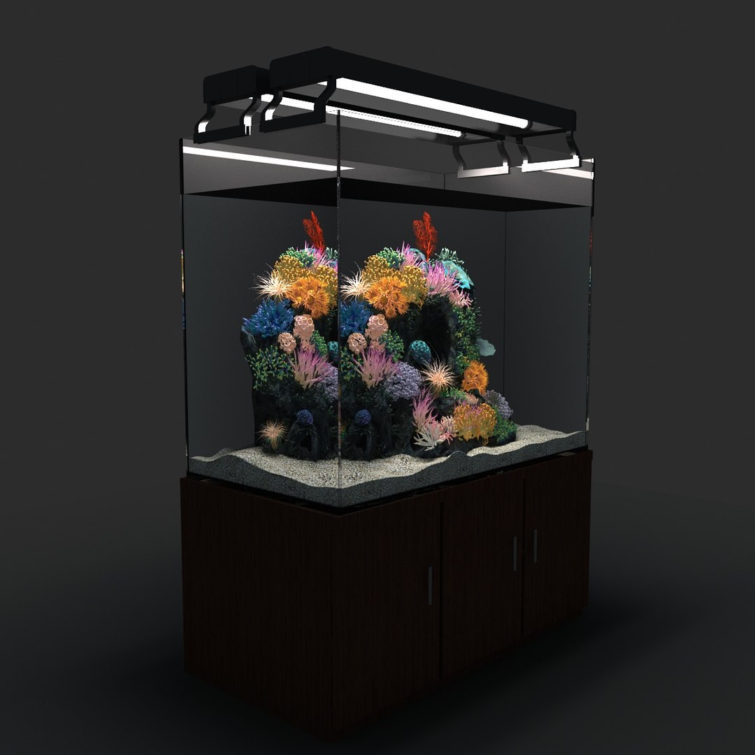 Marine Aquarium 01 3d Model