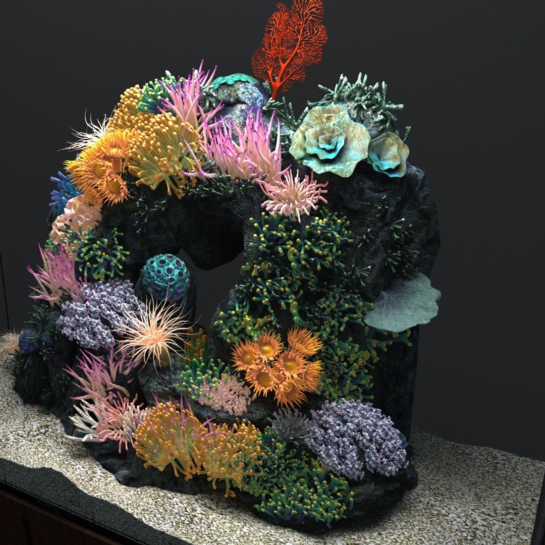 Marine Aquarium 01 3d Model