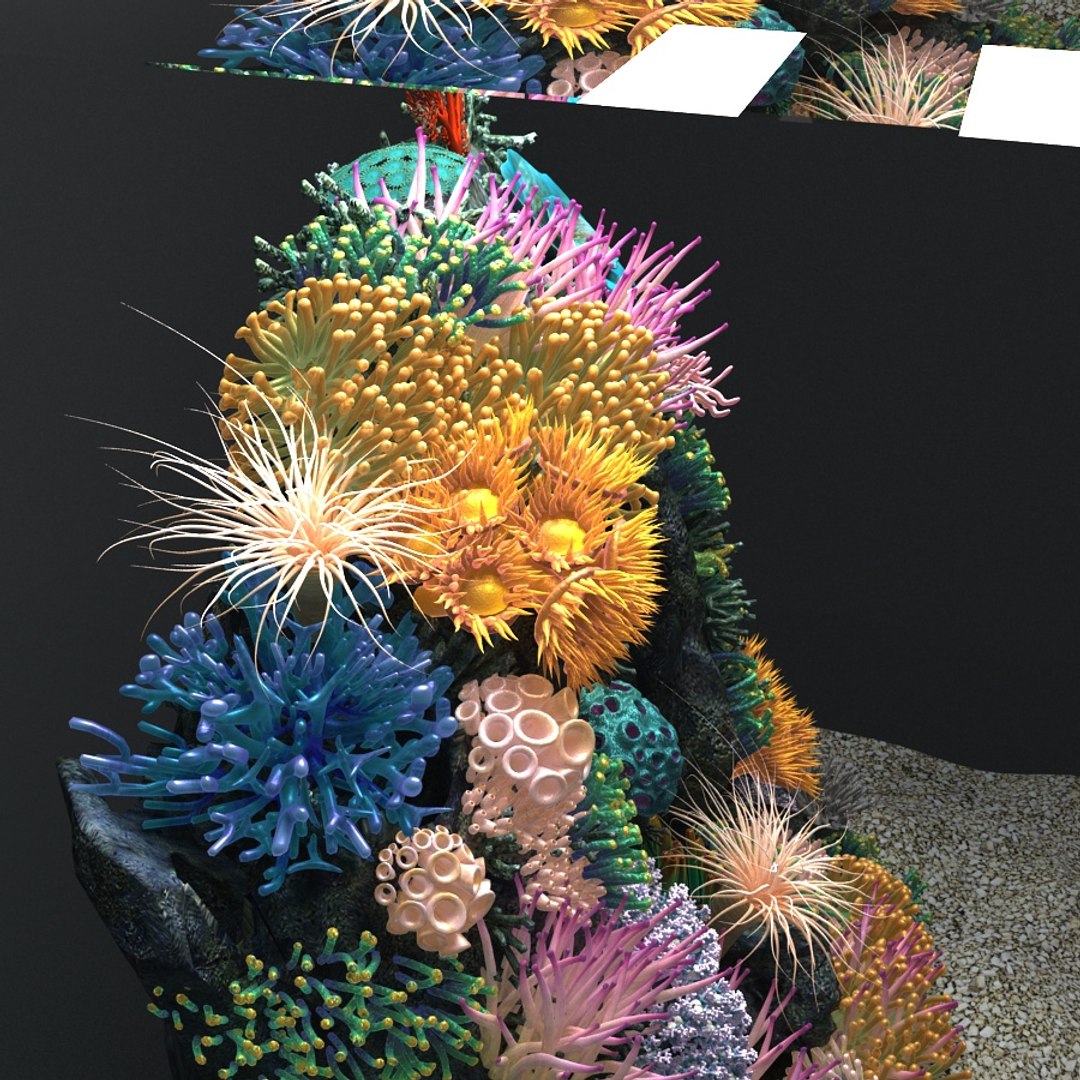 Marine Aquarium 01 3d Model