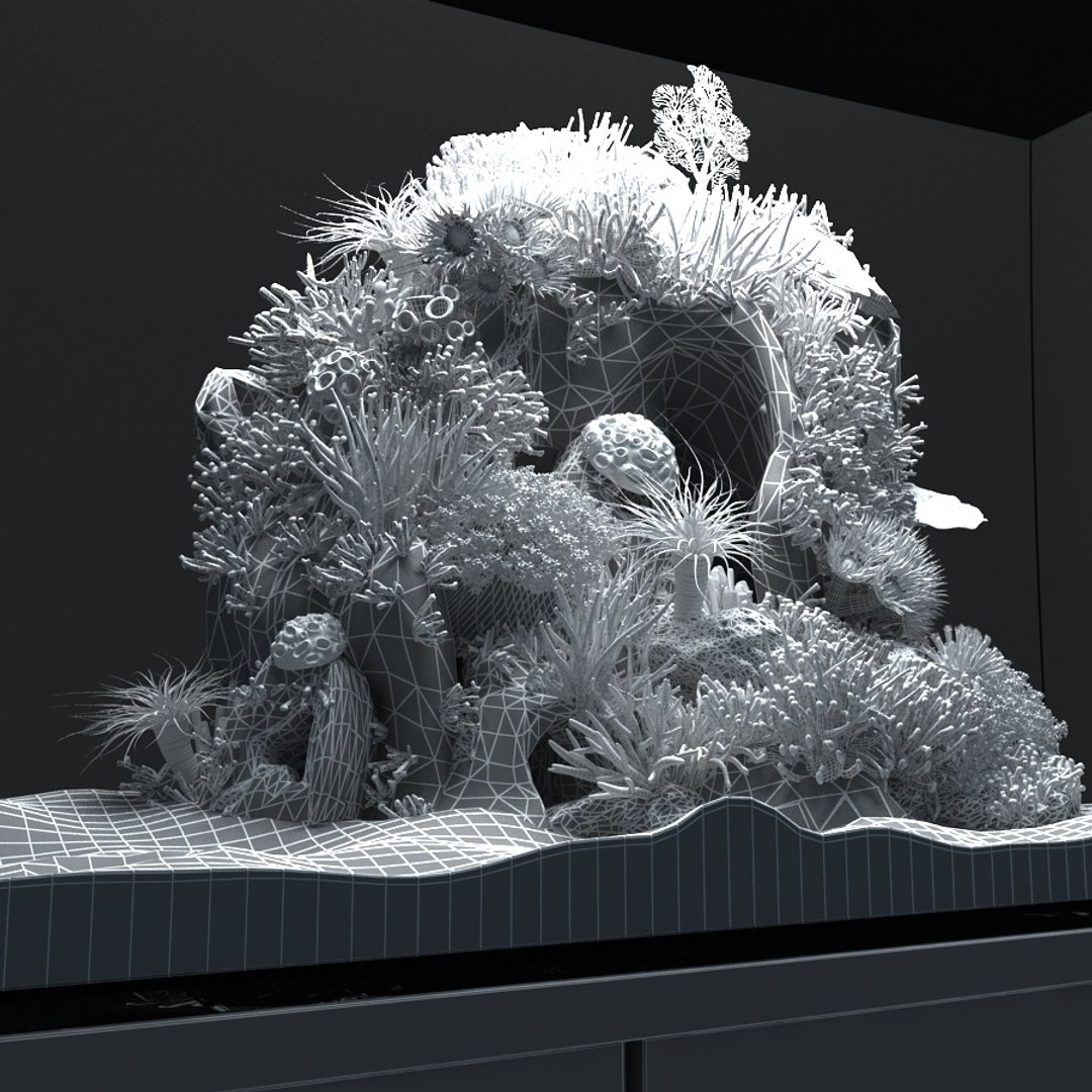 Marine Aquarium 01 3d Model