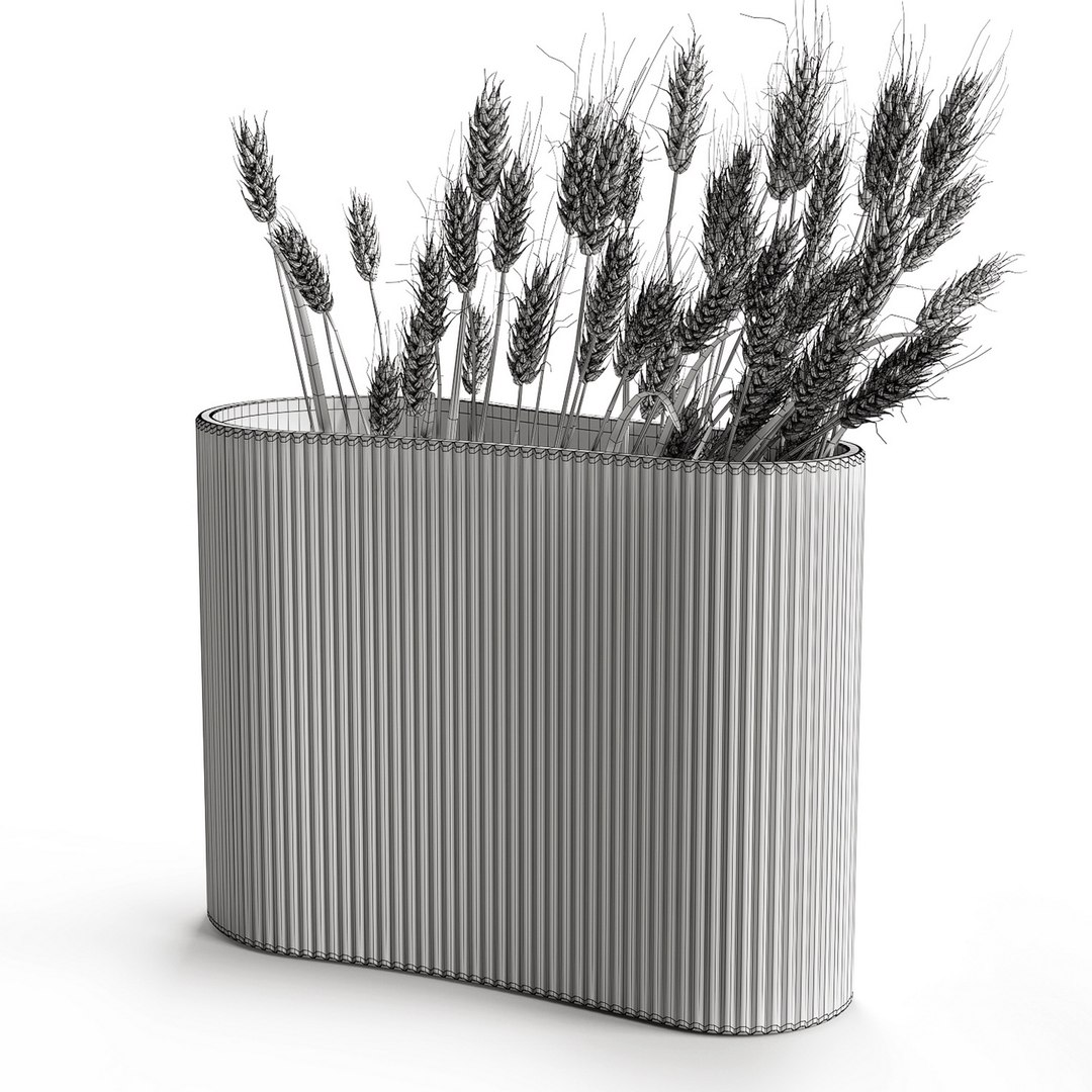 3D Sweet Wheat - TurboSquid 2207275