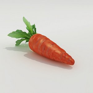 modèle 3D de Un radis - TurboSquid 715832