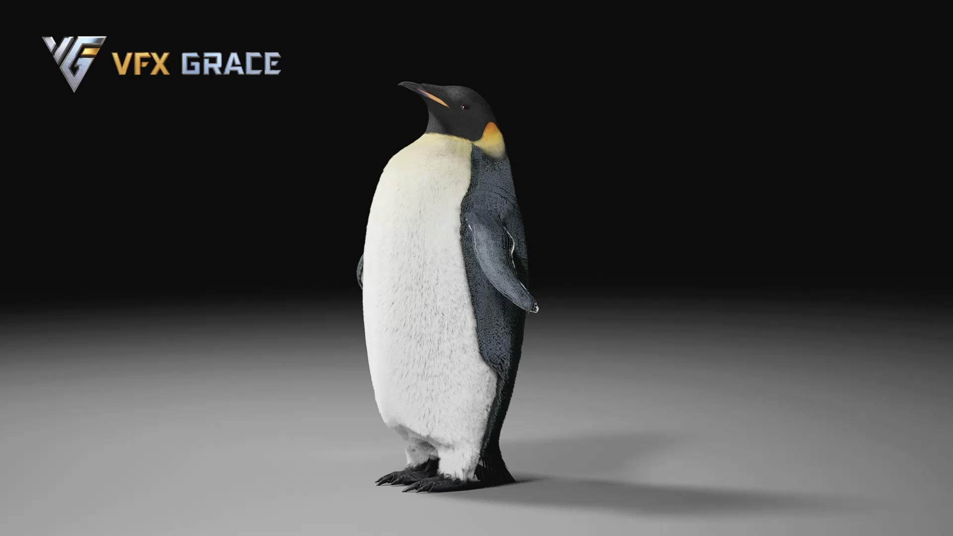 modelo 3d EmperorPenguin - Activo de personaje UE - TurboSquid 2168943