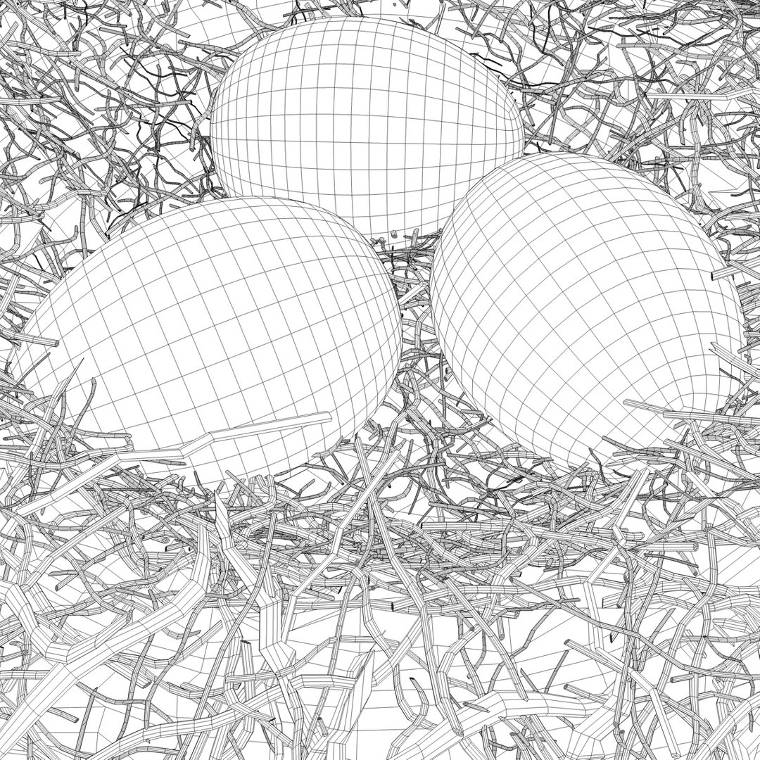Birds-nest Modeled Egg C4d