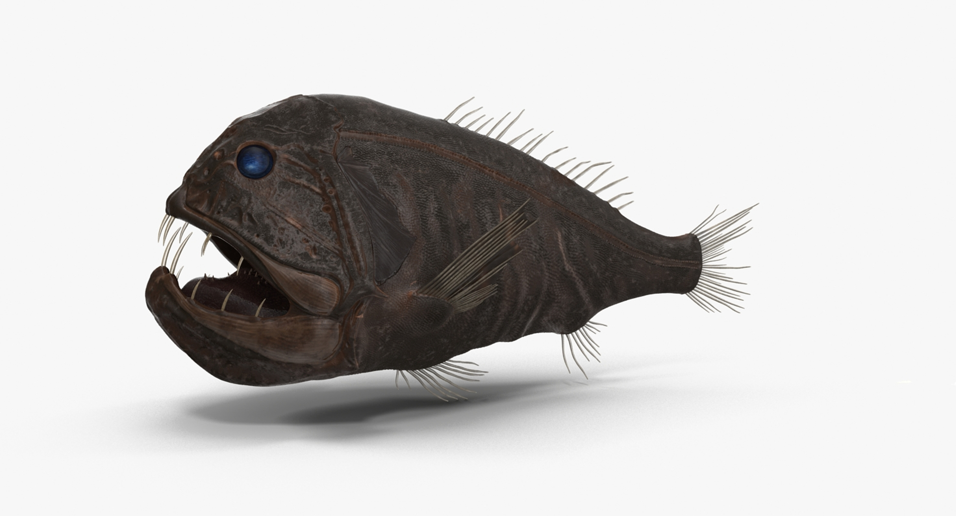 fangtooth fish dark 3d obj