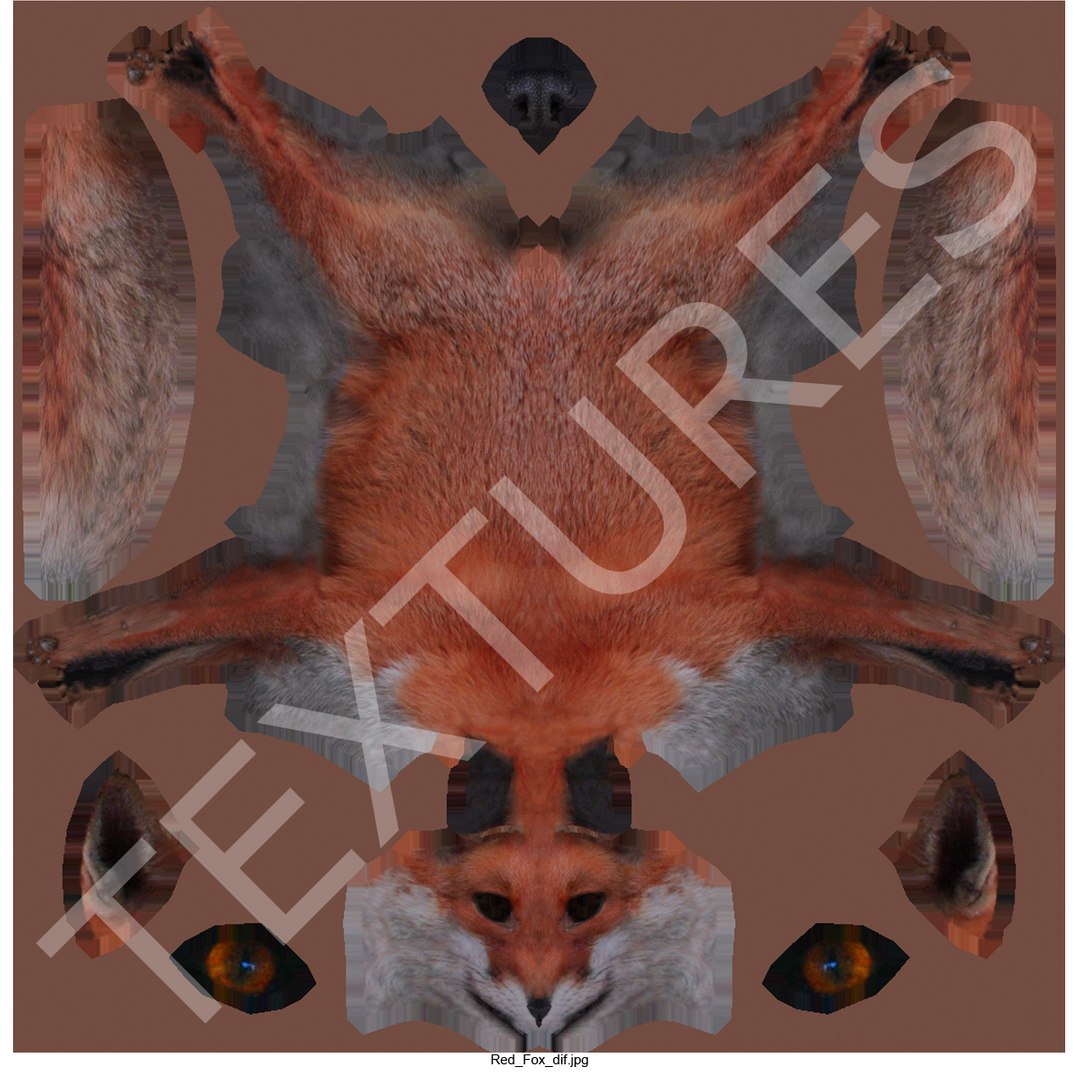 3ds Max Red Fox