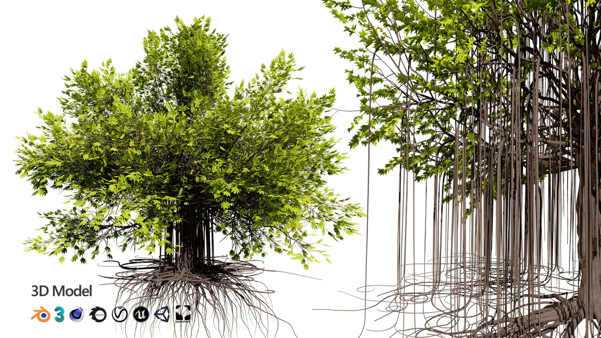 3D Optimized Medium-poly 3D Tree Collection 65 Assets - TurboSquid 2271753