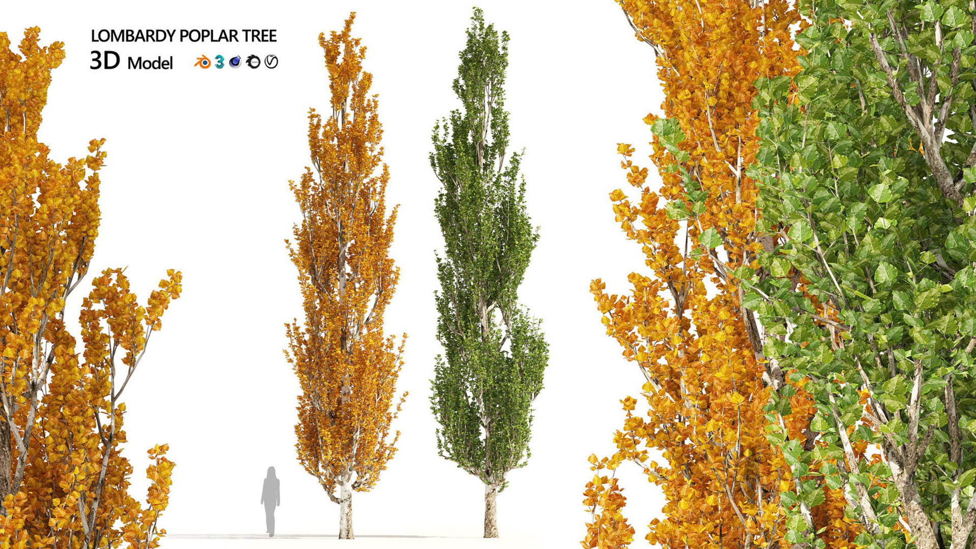 3D Optimized Medium-poly 3D Tree Collection 65 Assets - TurboSquid 2271753