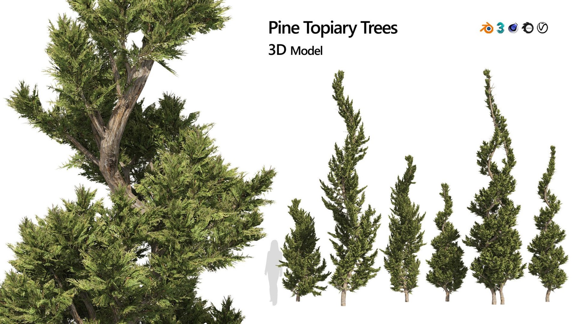 3D Optimized Medium-poly 3D Tree Collection 65 Assets - TurboSquid 2271753