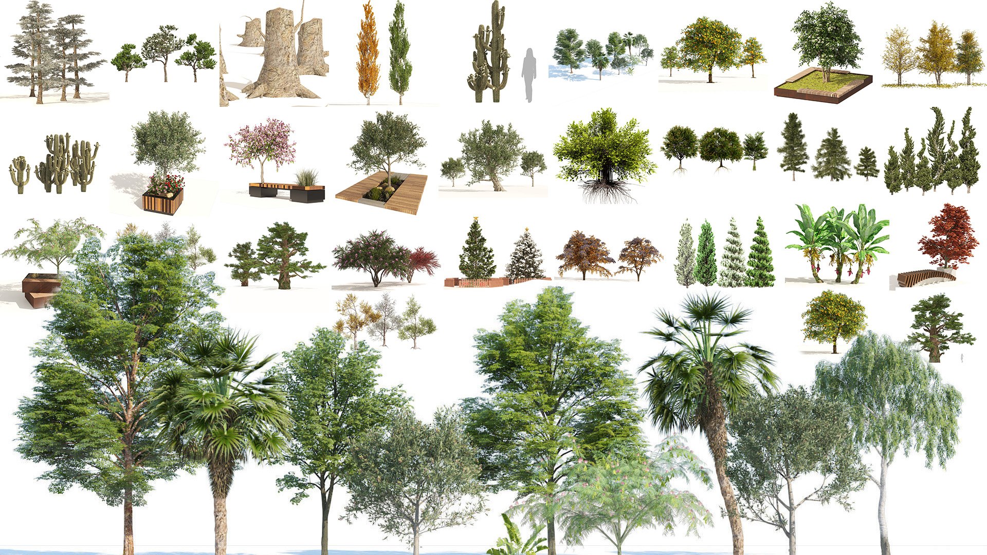 3D Optimized Medium-poly 3D Tree Collection 65 Assets - TurboSquid 2271753