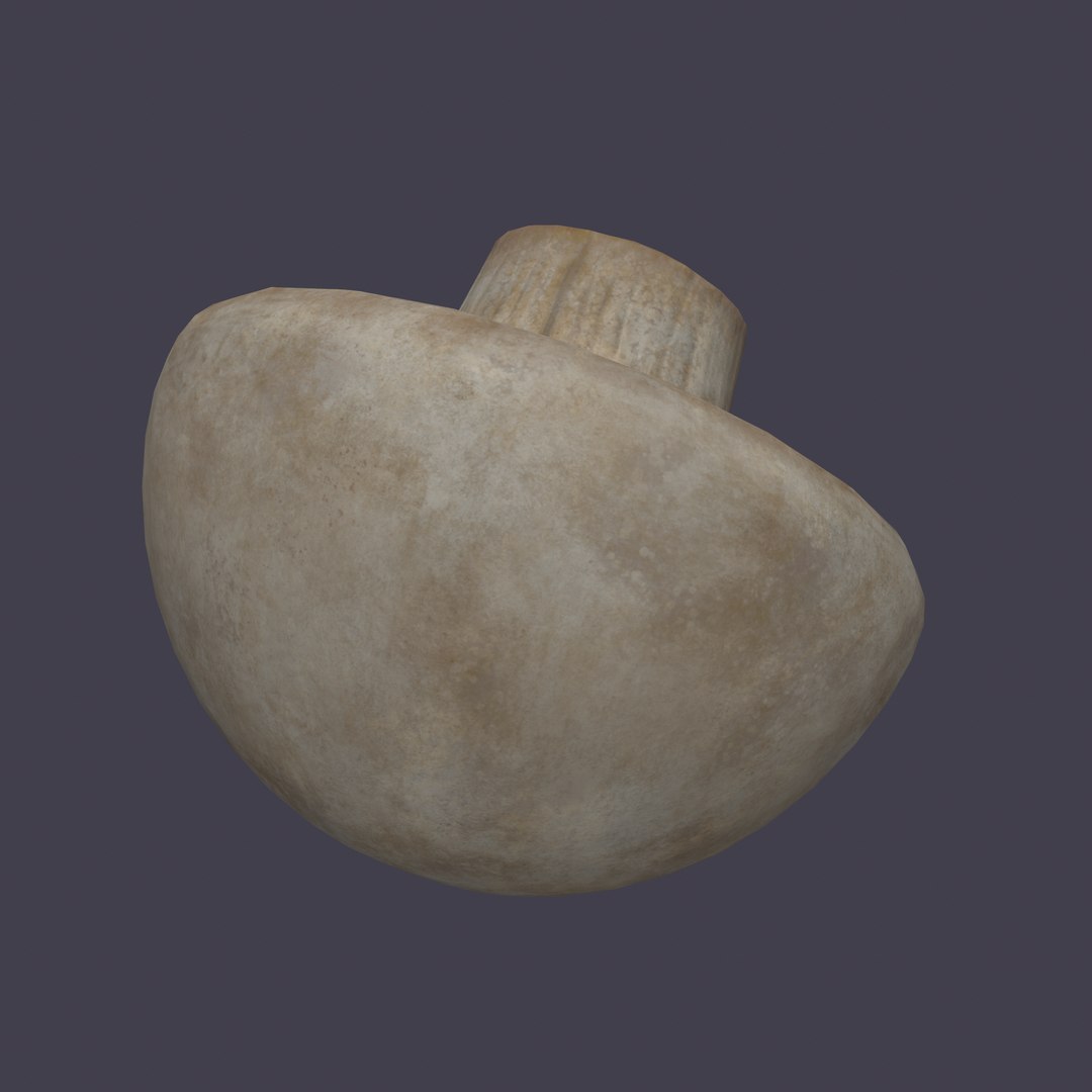 3D mushroom pbr model - TurboSquid 1391420
