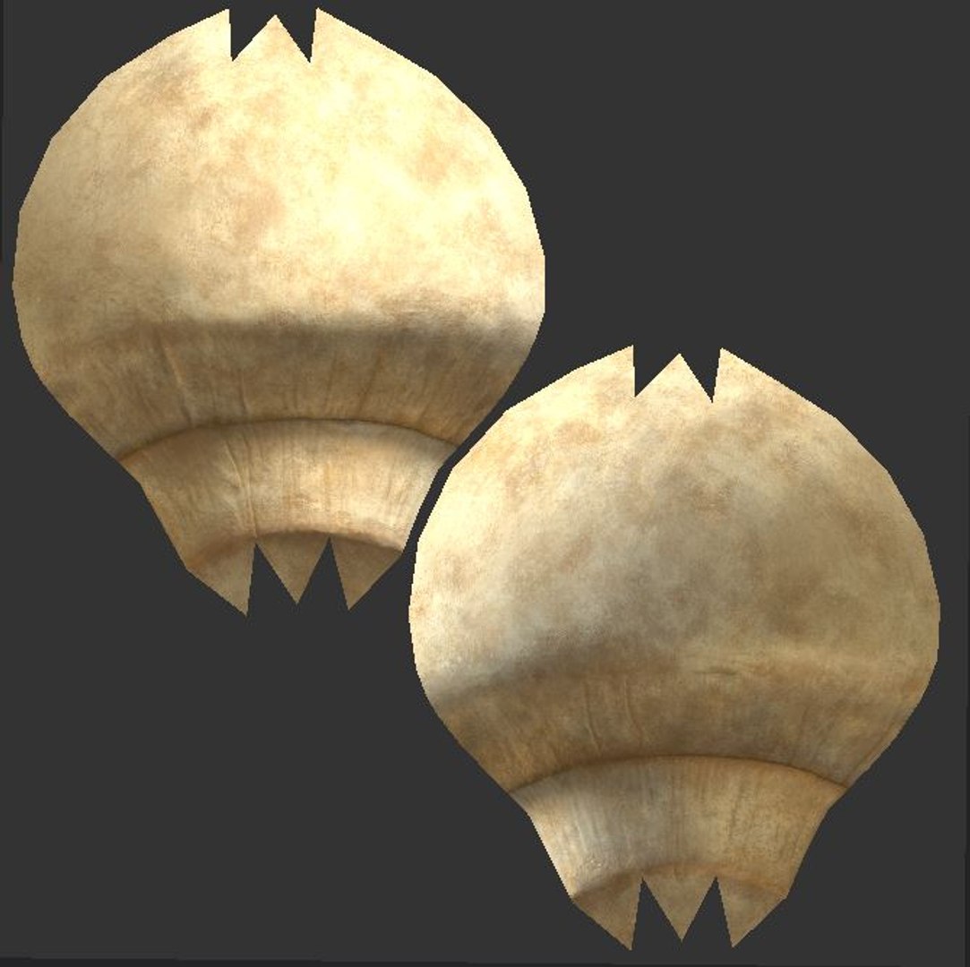 3D mushroom pbr model - TurboSquid 1391420
