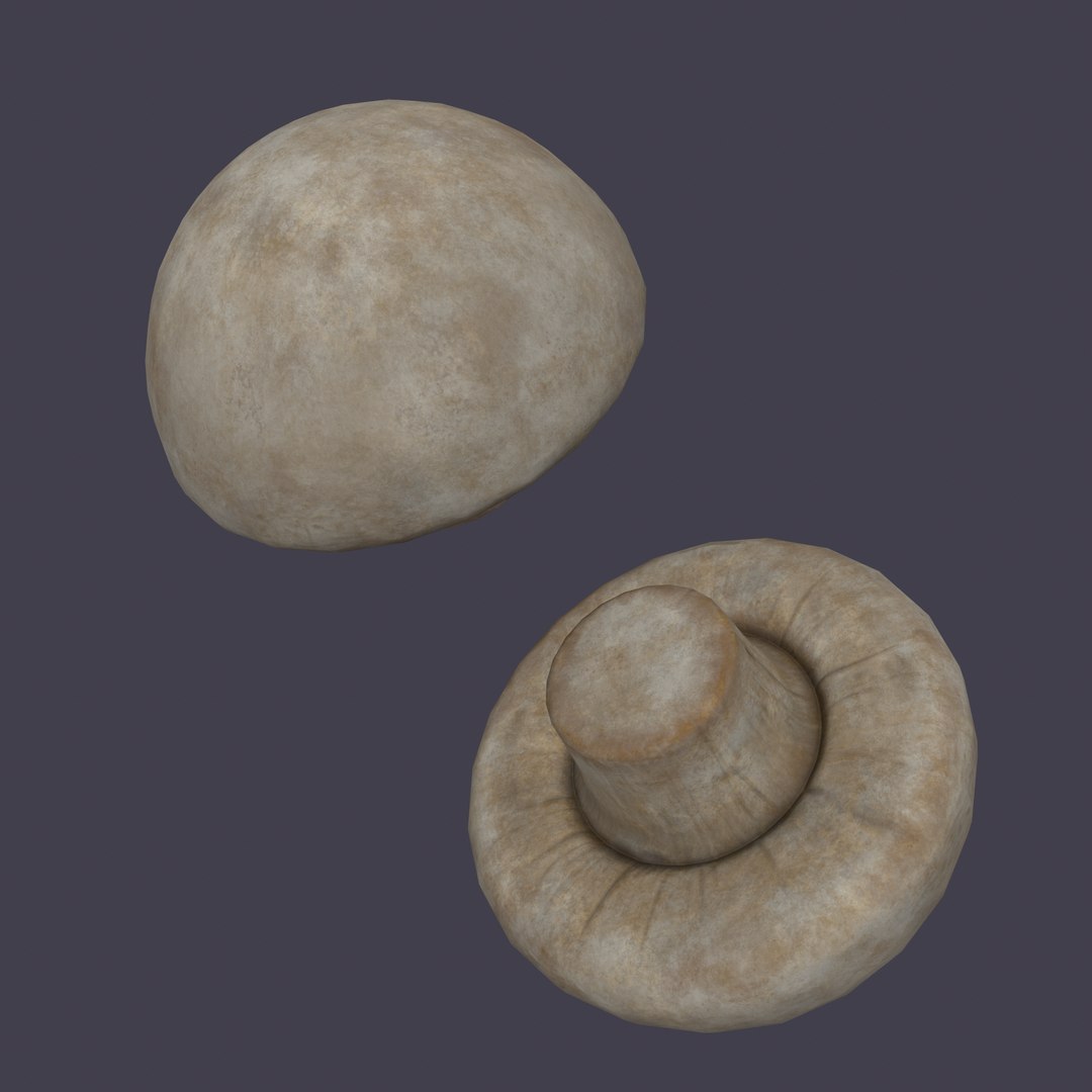 3D mushroom pbr model - TurboSquid 1391420
