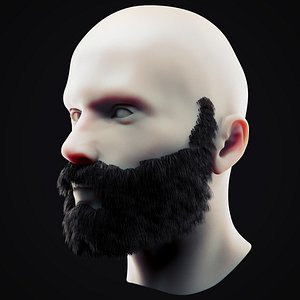 Beard 3D Models for Download | TurboSquid