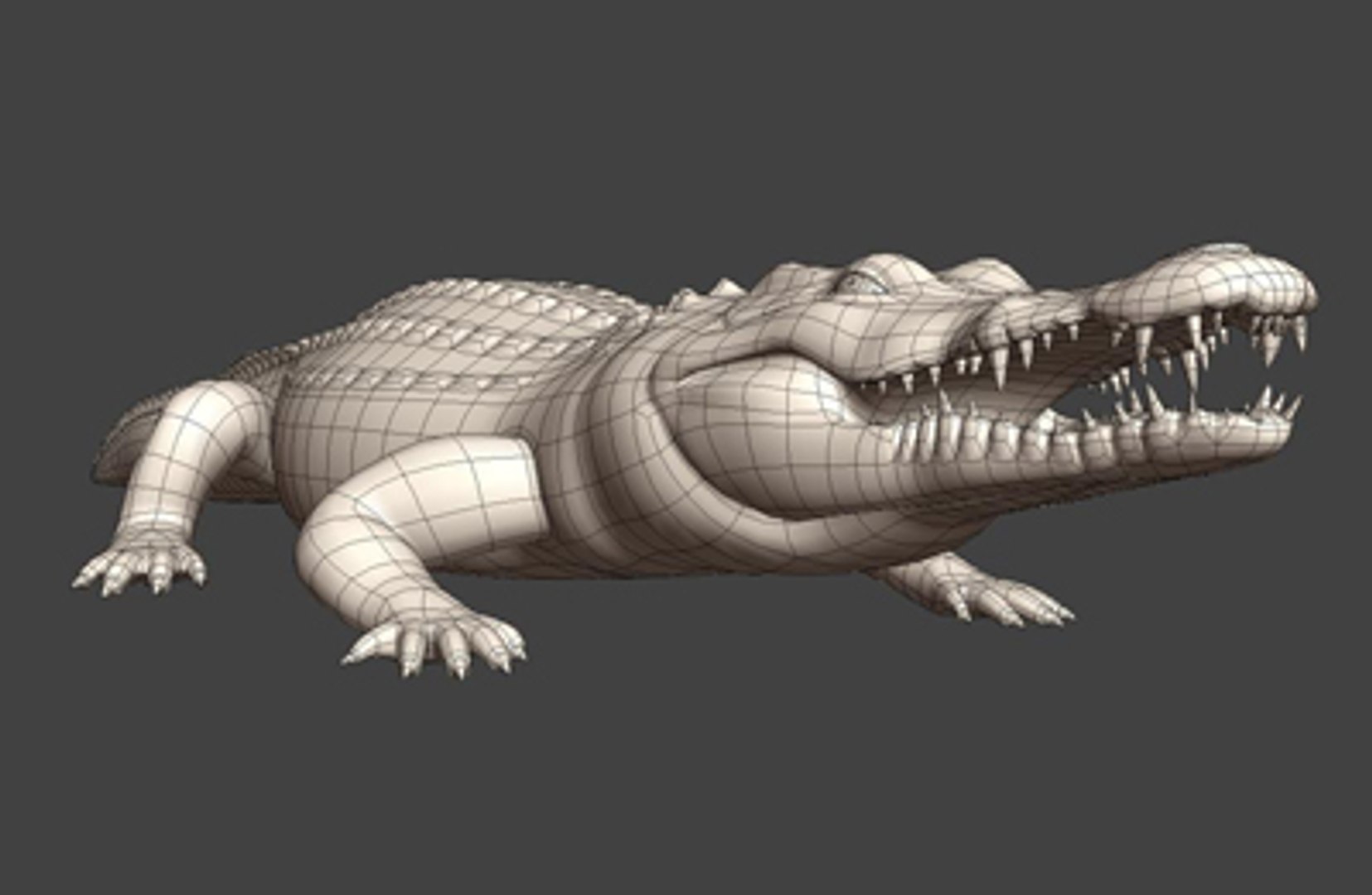 3d Crocodile Model