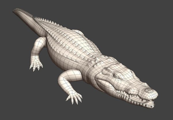 3d crocodile model