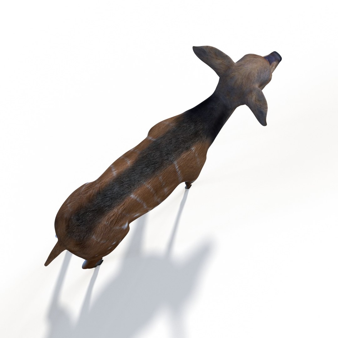 Bush Buck 3D Model | 1147779 | TurboSquid