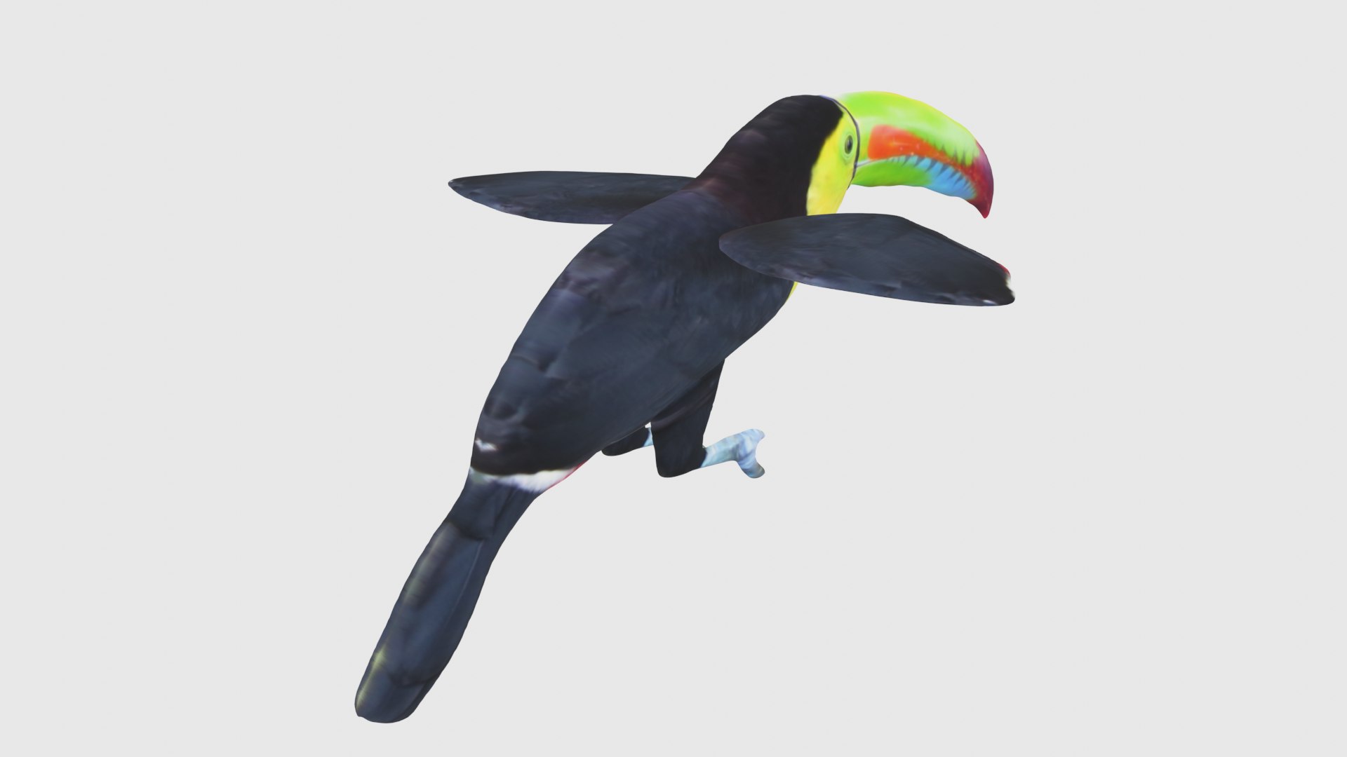 Low Poly Toucan Rigged With Realistic Texture 3D - TurboSquid 1876012