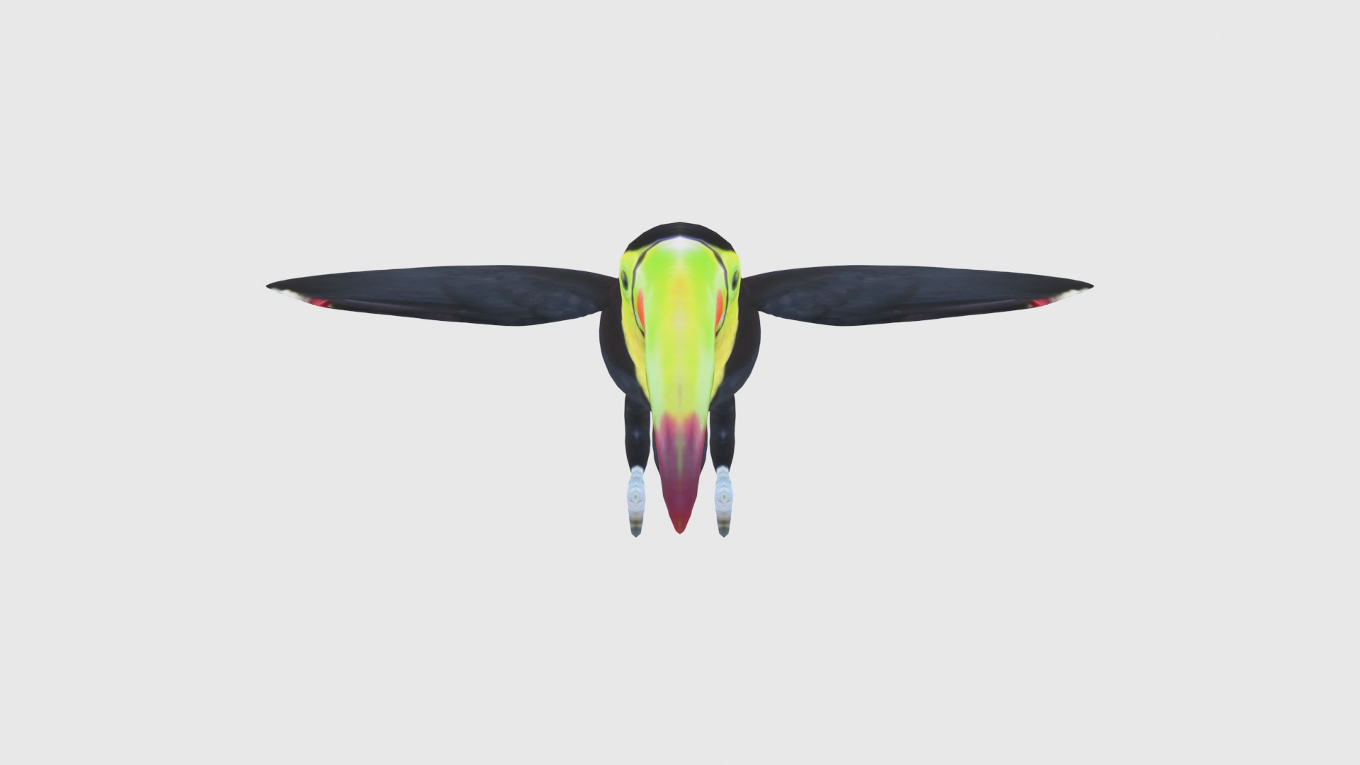 Low Poly Toucan Rigged With Realistic Texture 3D - TurboSquid 1876012