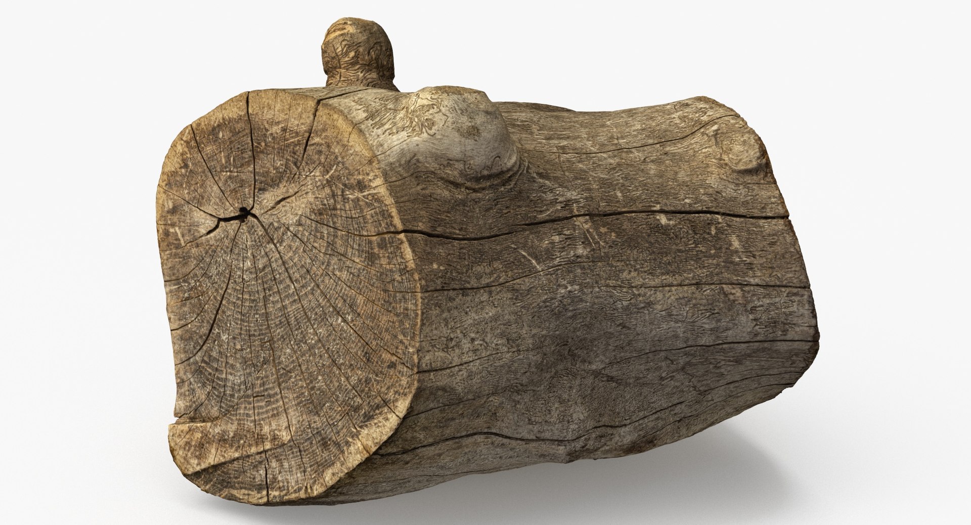 Broken Tree Trunk Piece 02 3D model - TurboSquid 2153571