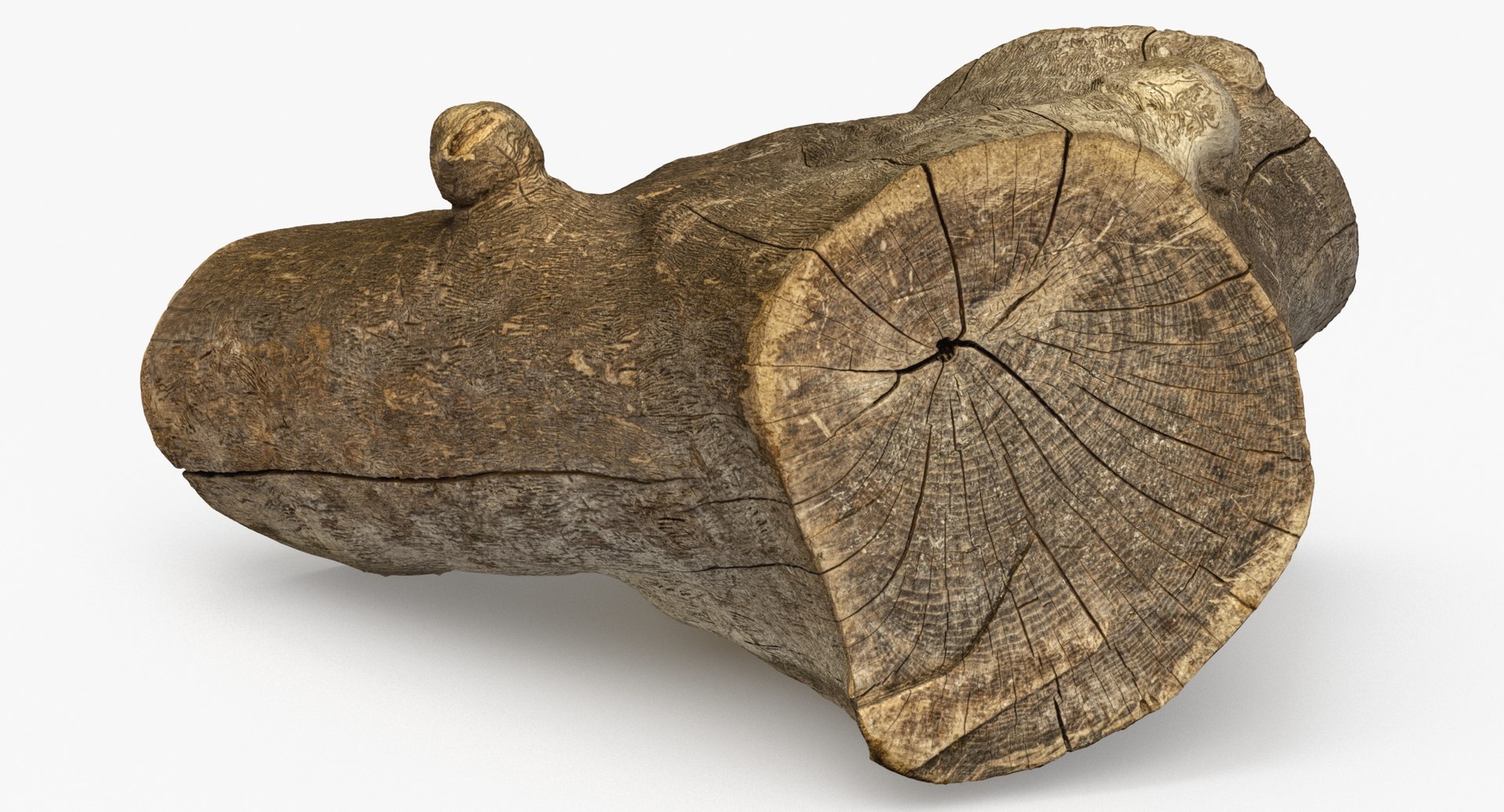 Broken Tree Trunk Piece 02 3D model - TurboSquid 2153571