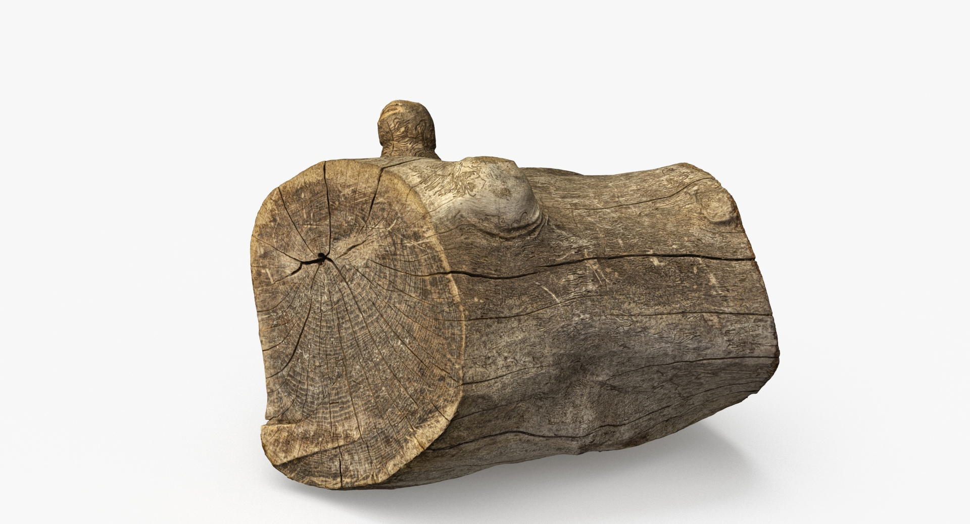 Broken Tree Trunk Piece 02 3D model - TurboSquid 2153571