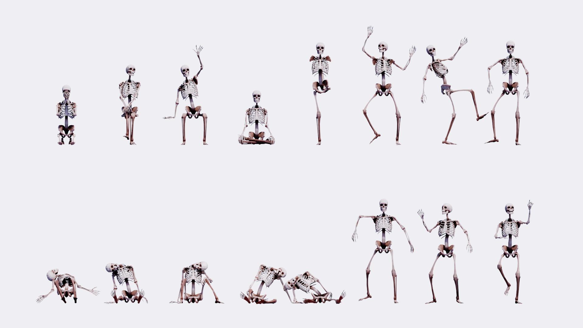 Low Poly Human Skeleton Model - TurboSquid 2144255