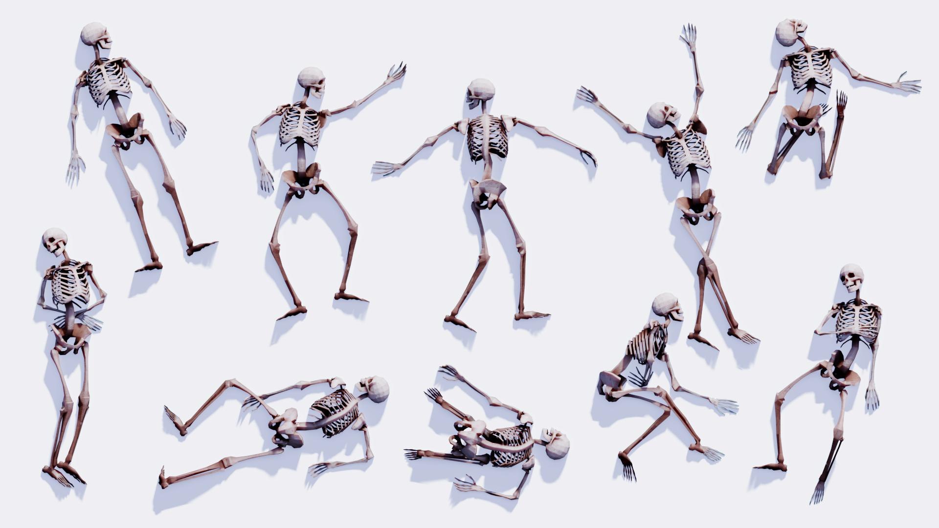 Low Poly Human Skeleton Model - TurboSquid 2144255