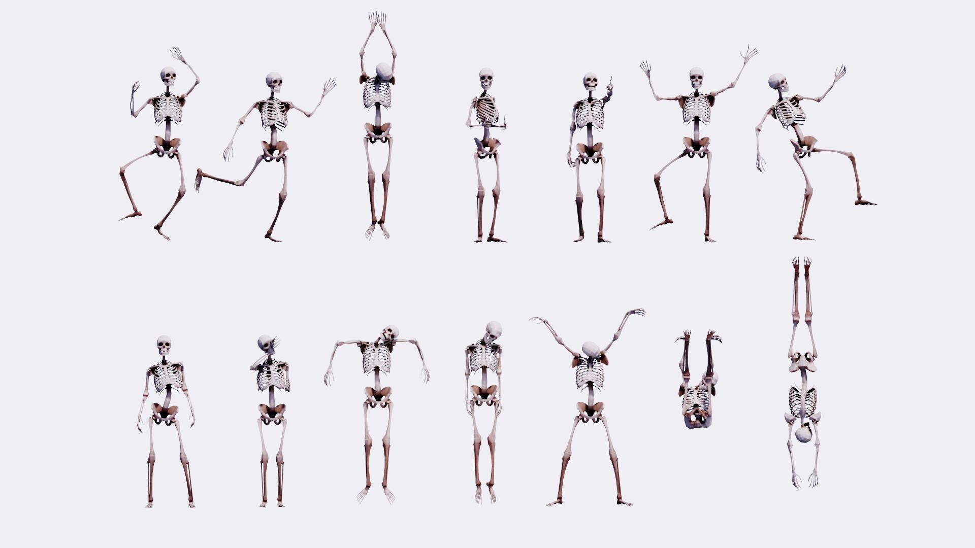 Low Poly Human Skeleton Model - TurboSquid 2144255