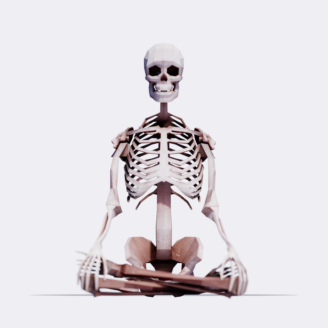 Low Poly Human Skeleton Model - TurboSquid 2144255