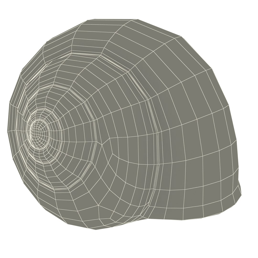 Snail Shell 3d Model