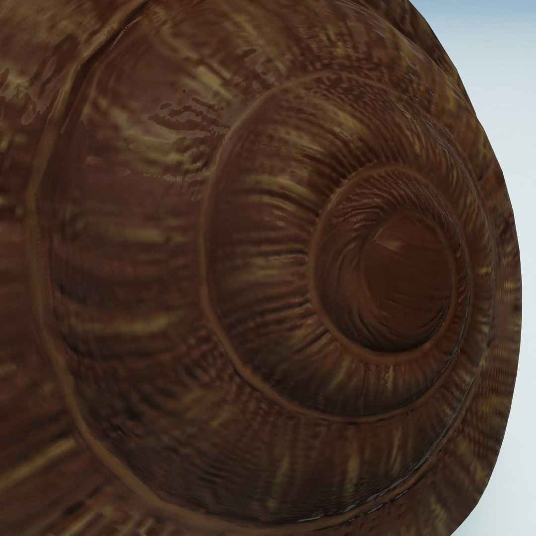 Snail Shell 3d Model