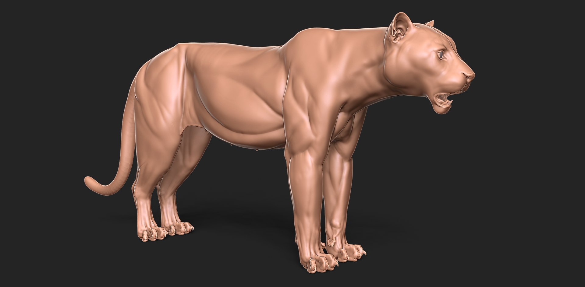 3D Leopard Primary Forms Zbrush Sculpt - TurboSquid 1819220