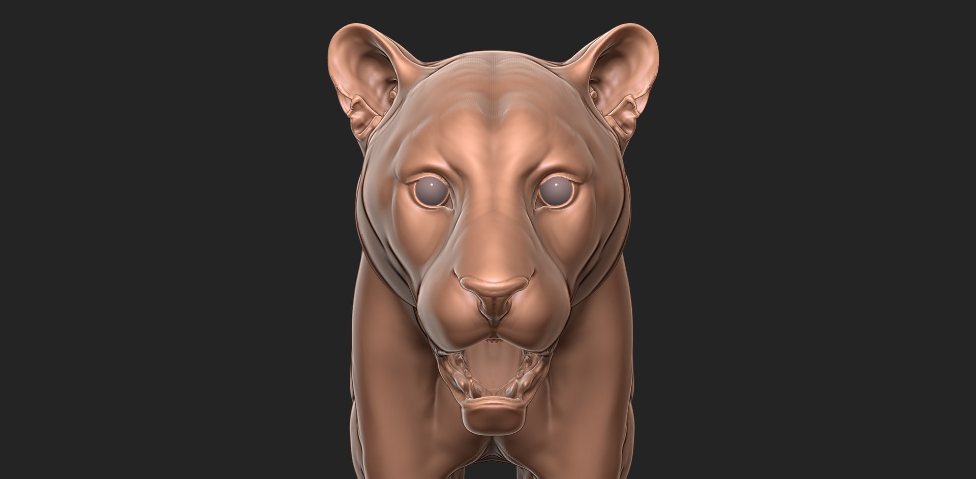 3D Leopard Primary Forms Zbrush Sculpt - TurboSquid 1819220