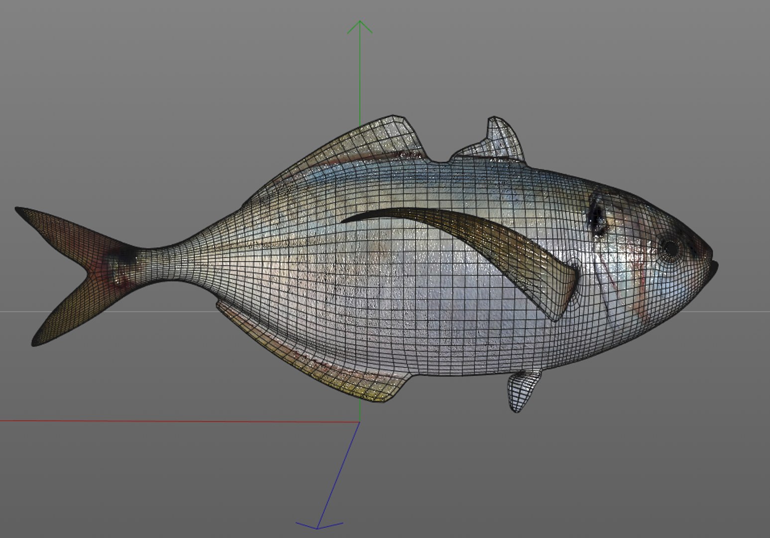 Fish 3D Model - TurboSquid 1551930