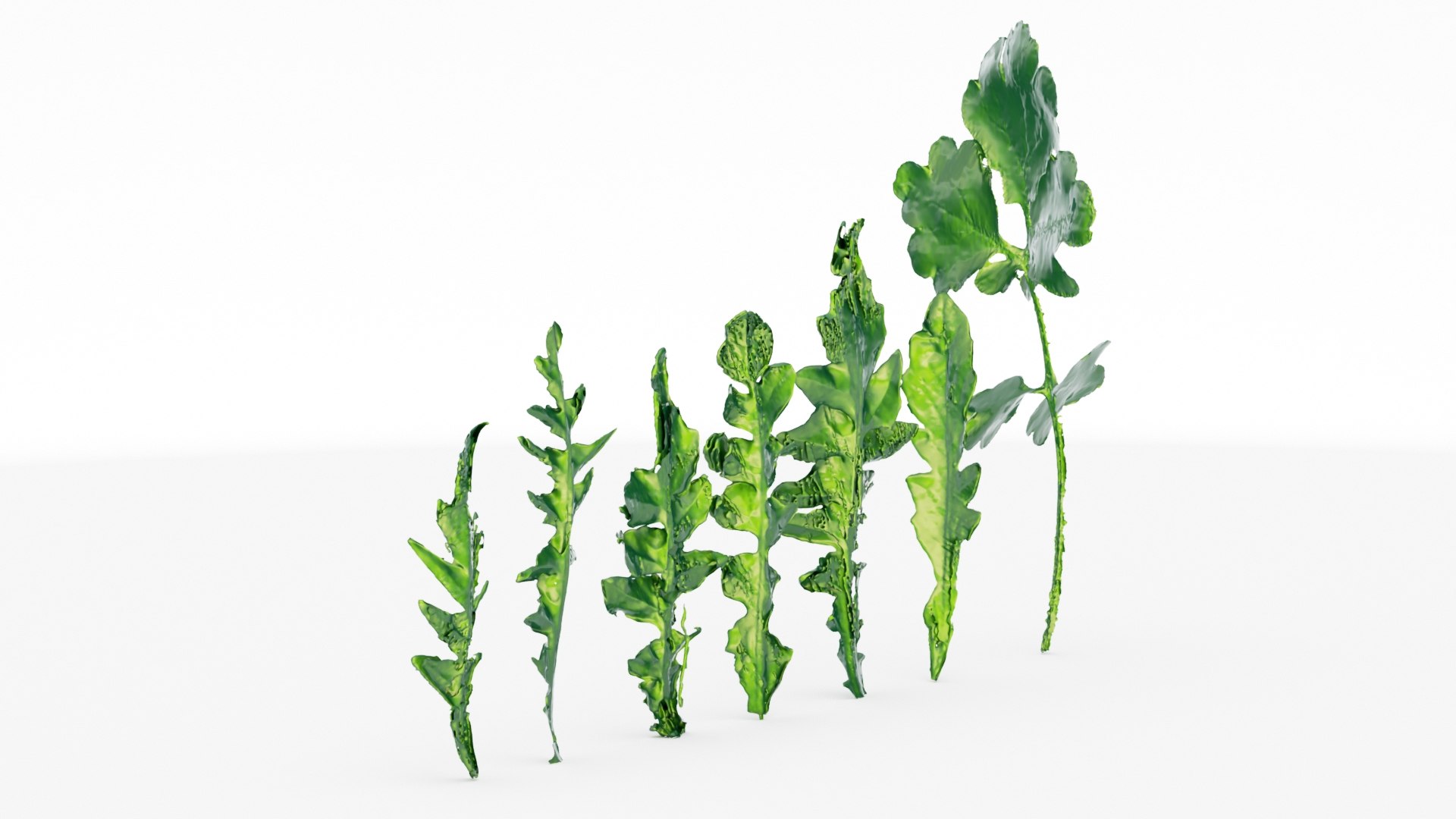 Free 3D Foliage 3d Scan Free Model - TurboSquid 2387950
