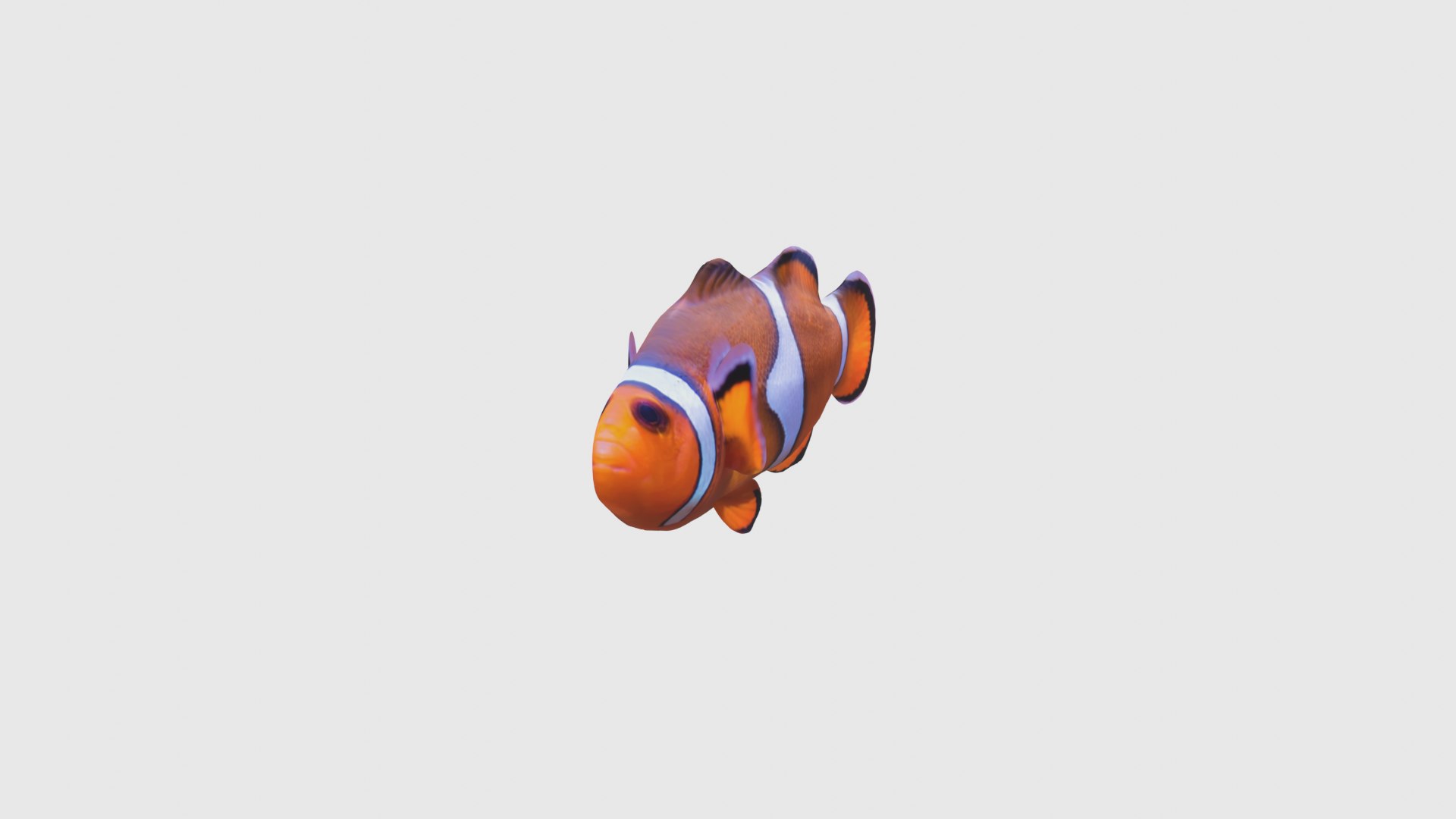 Low Poly Clownfish Rigged With Realistic Texture 3D - TurboSquid 1876021
