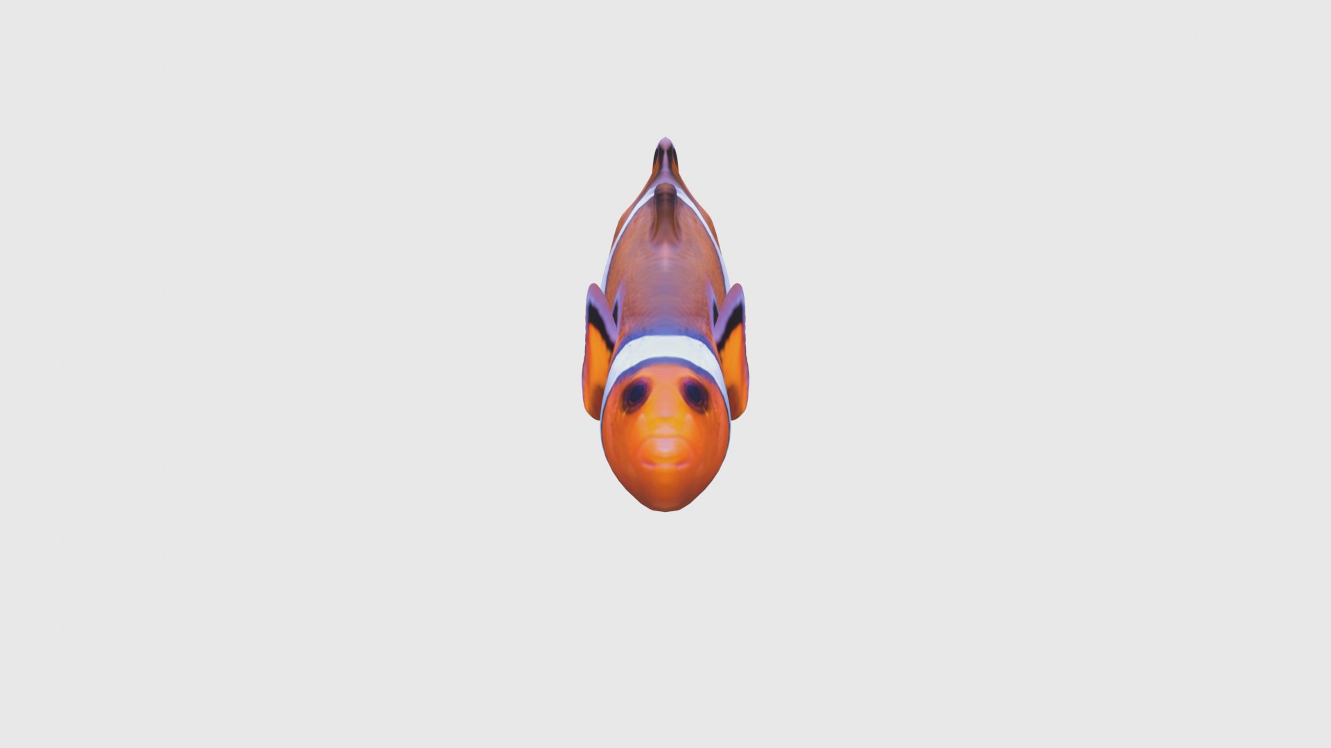 Low Poly Clownfish Rigged With Realistic Texture 3D - TurboSquid 1876021