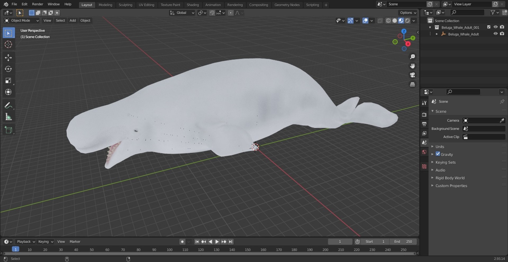 3D Model Beluga Whale Adult - TurboSquid 2027737