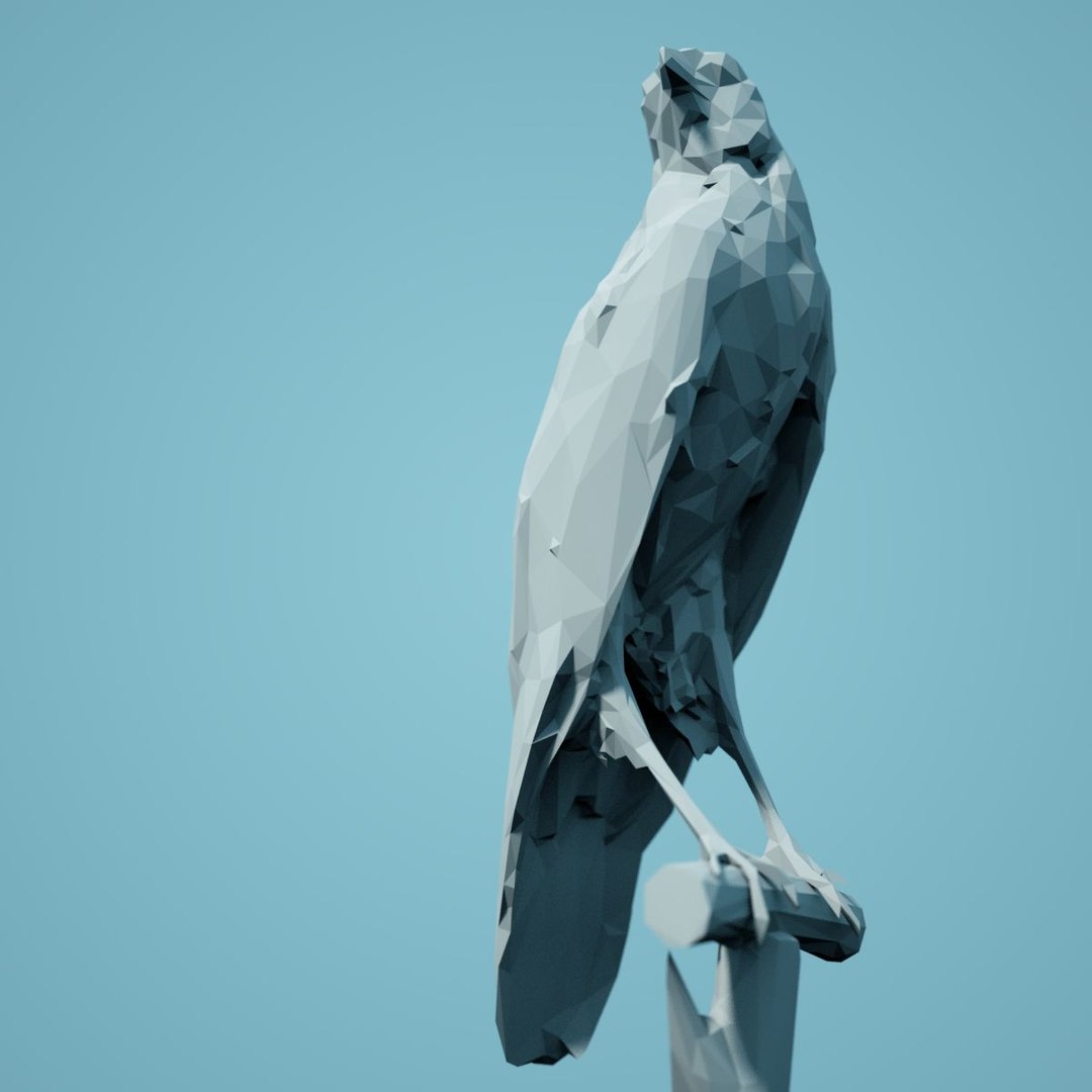 Bird Realistic Faceted 3D Model - TurboSquid 1162397