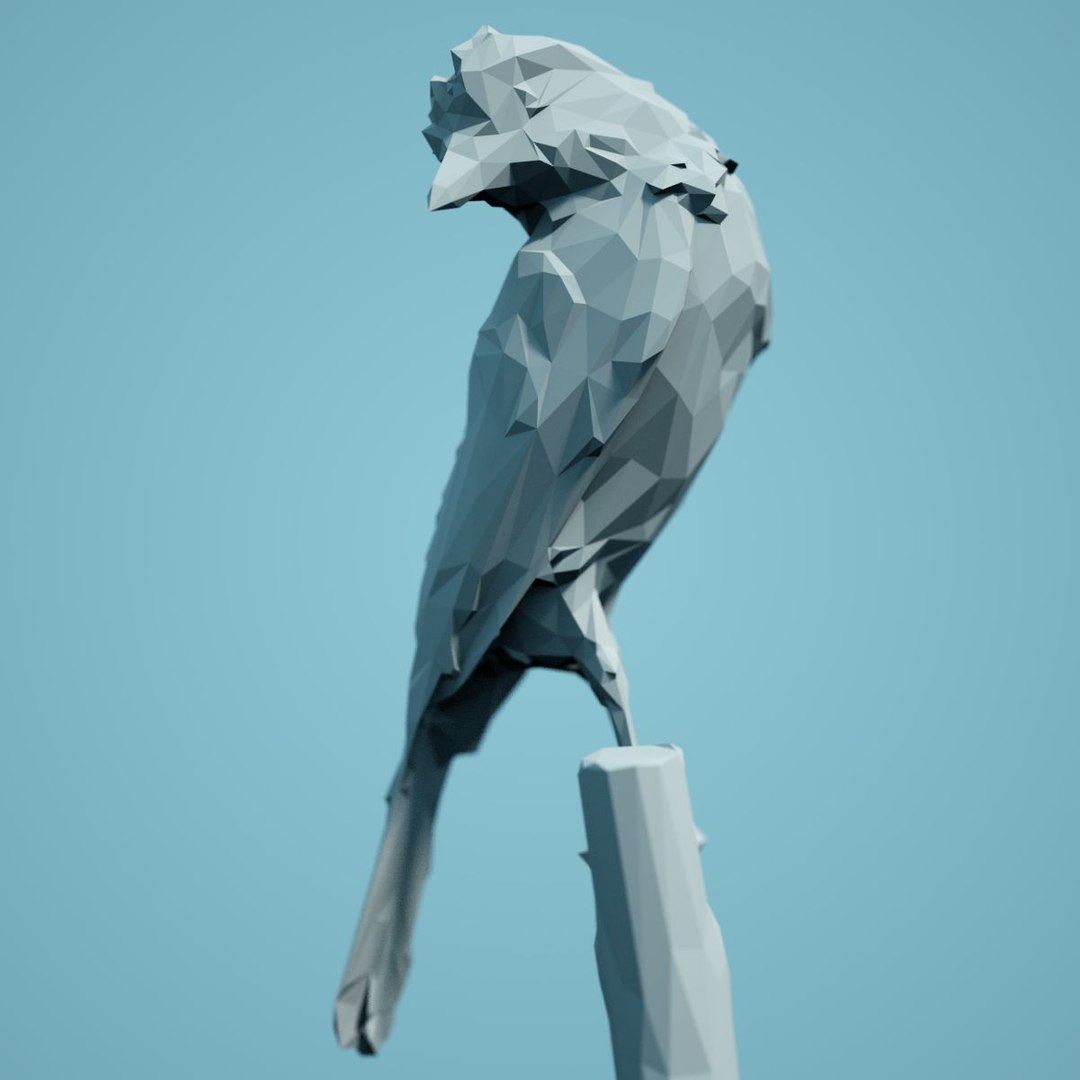 Bird Realistic Faceted 3D Model - TurboSquid 1162397